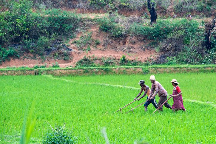 Disaggregated Data is Essential to Leave No One Behind | International Institute for Sustainable ...